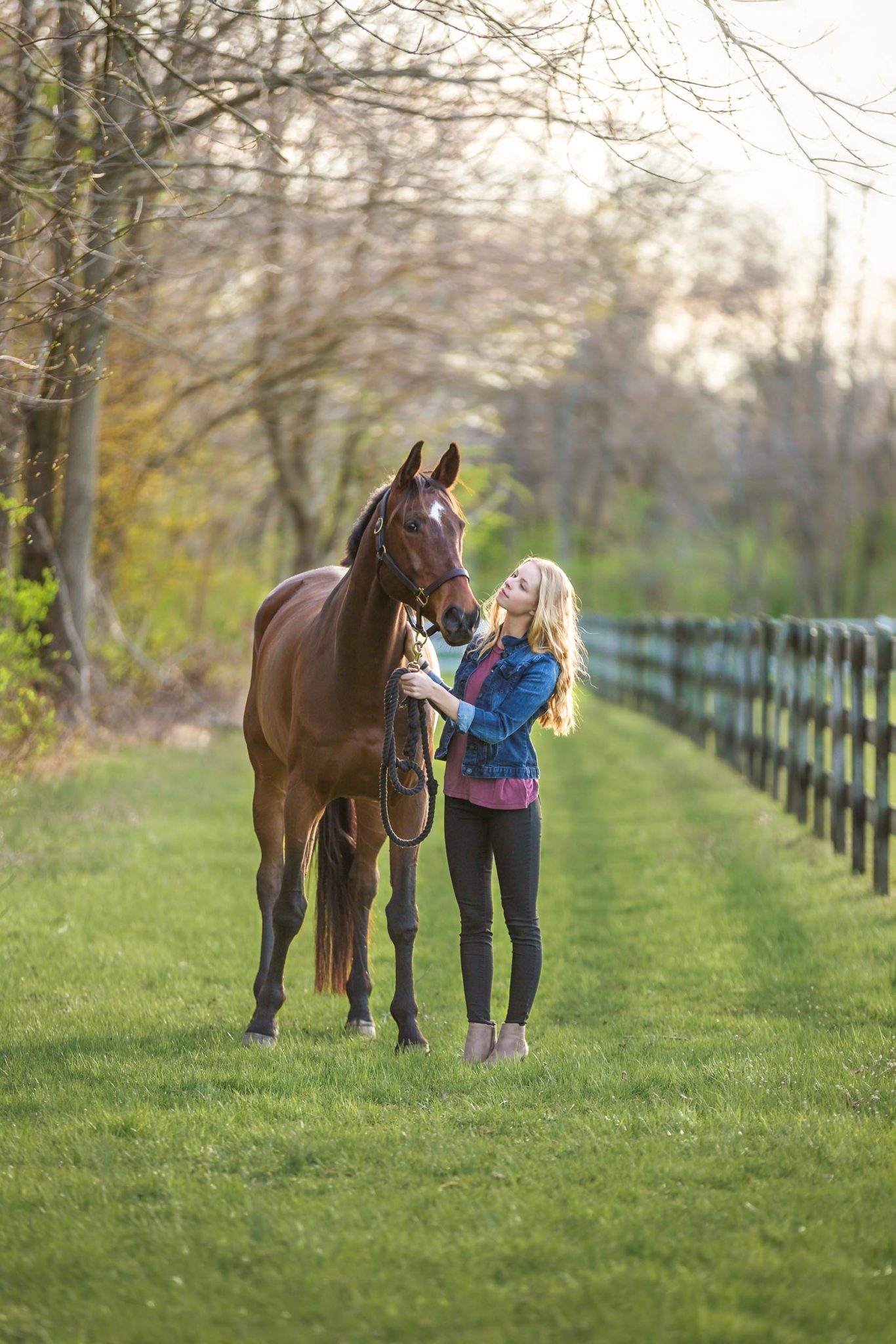 Morgyn & Niro | Chesterfield Farm